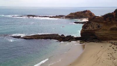 Free Beach Loop Stock Video Footage - (7,700 Free Downloads)