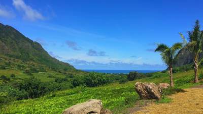 Free Chroma Key Stock Video Footage - (334 Free Downloads)