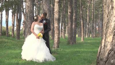 Free Wedding Stock Video Footage - (482 Free Downloads)