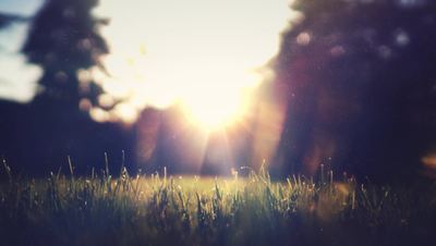 Free 4k Background Stock Video Footage - (24,668 Free Downloads)