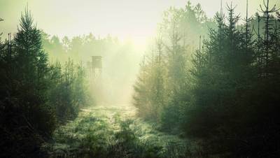 Free 4k Stock Video Footage - (6,806 Free Downloads)