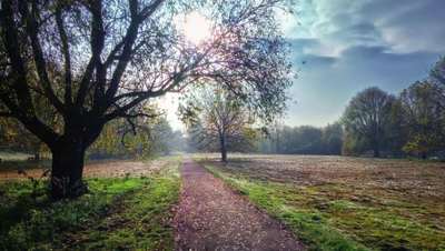 Free Nature Stock Video Footage - (11,291 Free Downloads)