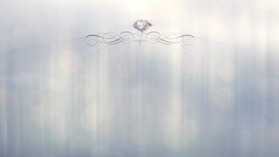 Free Wedding Animation Stock Video Footage - (9,350 Free Downloads)