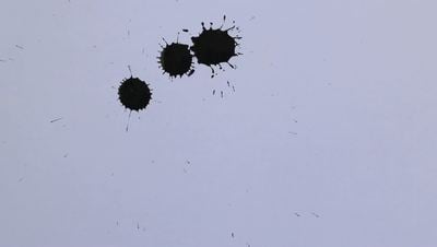 Free Ink Drop Stock Video Footage - (1,657 Free Downloads)
