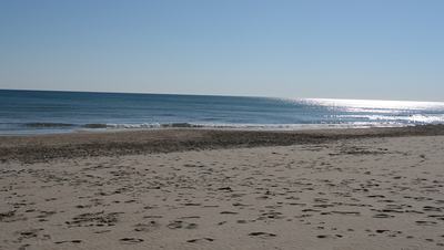 Free Beach Loop Stock Video Footage - (7,700 Free Downloads)