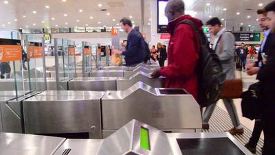 Free Training Freellie Stock Video Footage - (1,005 Free Downloads)