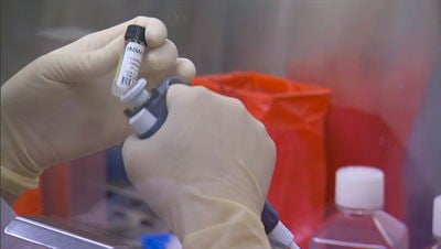 Careful lab samples - Free HD Video Clips & Stock Video Footage at Videezy!