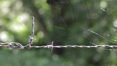 Free Spider Man3españolps3rom Stock Video Footage - (48 Free Downloads)