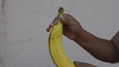 Gratuit Microsoftbananavideo Vidéo d’archives - (4 235 Telechargements ...