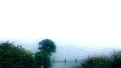 Free Tjayclarke Hurricanes Stock Video Footage - (19 Free Downloads)