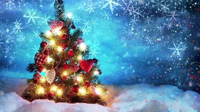 Free Christmas Stock Video Footage - (1,392 Free Downloads)