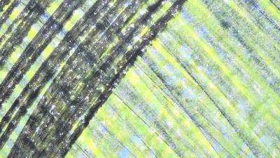 Free Paper Stop Motion Stock Video Footage - (14,168 Free Downloads)