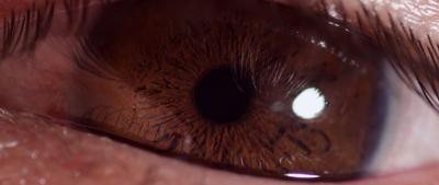 Free Blinking Eye Stock Video Footage - (773 Free Downloads)