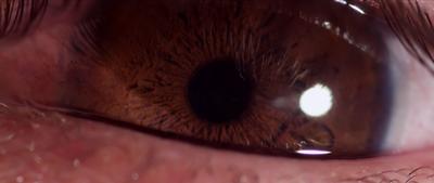 Free Blinking Eye Stock Video Footage - (773 Free Downloads)