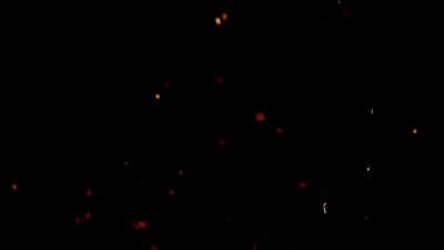 Free Ash Stock Video Footage - (1,304 Free Downloads)