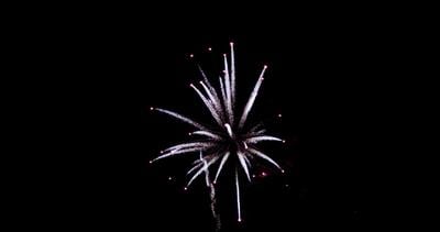 White Fireworks Animation - Free HD Video Clips & Stock Video Footage ...