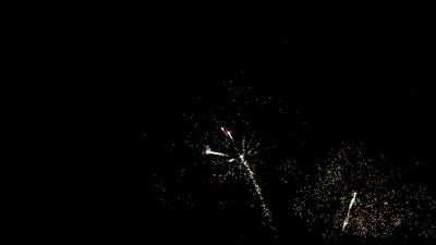 Peony, chrysanthemum and crossette fireworks effects in nocturne scene ...