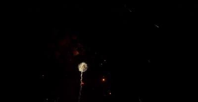 Peony, chrysanthemum and crossette fireworks effects in nocturne scene ...
