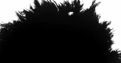 Free Ink Stock Video Footage - (938 Free Downloads)