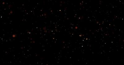 Free Particle Effect Stock Video Footage - (6,077 Free Downloads)