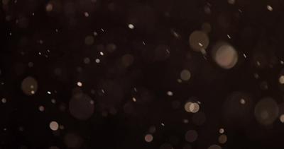 Free Random Stock Video Footage - (358 Free Downloads)