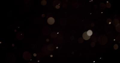 Free Transparent Footage Stock Video Footage - (3,063 Free Downloads)