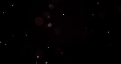 Free Gold Particle Stock Video Footage - (2,995 Free Downloads)