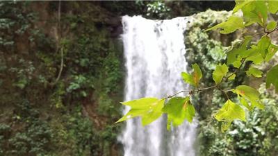 Free Waterfall Stock Video Footage - (4,794 Free Downloads)