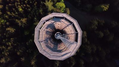 Treetop unveiling shot from up down in 4K - Free HD Video Clips & Stock ...