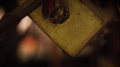 Macro View of a Spider Web Video | Free HD Stock Video Footage at Videezy!