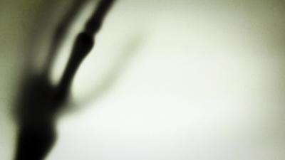 halloween shadows in wall - Free HD Video Clips & Stock Video Footage ...