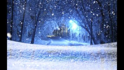 Free Snow Stock Video Footage - (2,067 Free Downloads)