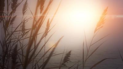 Free Summer Stock Video Footage - (6,997 Free Downloads)