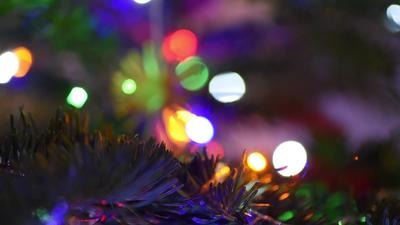 Free Christmas Tree Stock Video Footage - (3,710 Free Downloads)