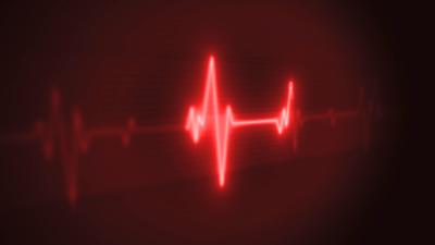 Scanner Heart Pulsation Wave Signal 4K - Free HD Video Clips & Stock ...