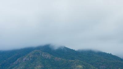 Free Fog Alpha Stock Video Footage - (894 Free Downloads)