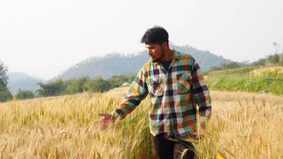 Free Agriculture Stock Video Footage - (1,457 Free Downloads)