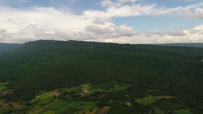 Aerial view wide shot point of view mountain with lush trees and foggy ...