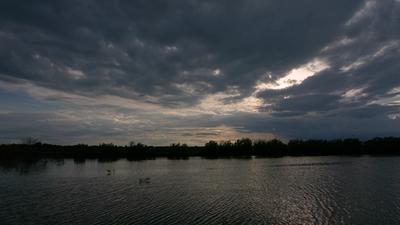 Gratis Bewegende Achtergrond Videomateriaal - (2.300 Gratis Downloads)