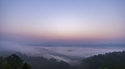 Free Fog Stock Video Footage - (3,579 Free Downloads)