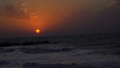 Free Summer Stock Video Footage - (6,997 Free Downloads)