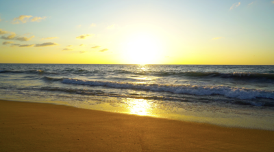 Free Beach Loop Stock Video Footage - (7,700 Free Downloads)