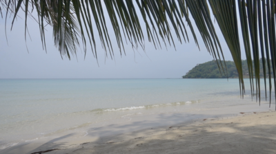 Free Beach Loop Stock Video Footage - (7,700 Free Downloads)