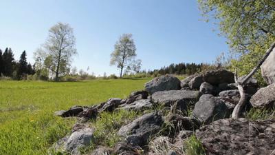 Free Nature Mp4 Stock Video Footage - (10,121 Free Downloads)