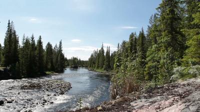 Free Nature Mp4 Stock Video Footage - (10,121 Free Downloads)