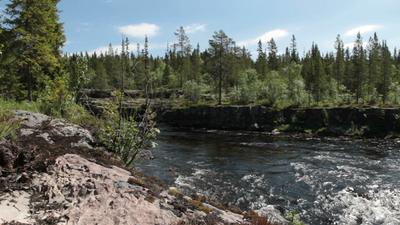 Free Nature Mp4 Stock Video Footage - (10,121 Free Downloads)