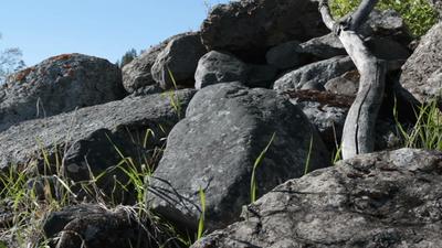 Free Nature Mp4 Stock Video Footage - (10,121 Free Downloads)