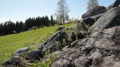 Free Nature Mp4 Stock Video Footage - (10,121 Free Downloads)