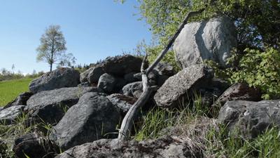 Free Nature Mp4 Stock Video Footage - (10,121 Free Downloads)