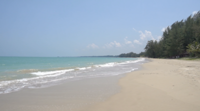 Free Beach Loop Stock Video Footage - (7,700 Free Downloads)